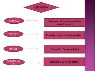 Ppt morphology | PPTX