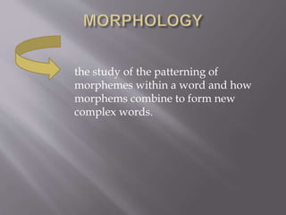 Ppt morphology | PPTX
