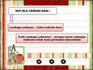 Morfologi ttg Biji | PPTX