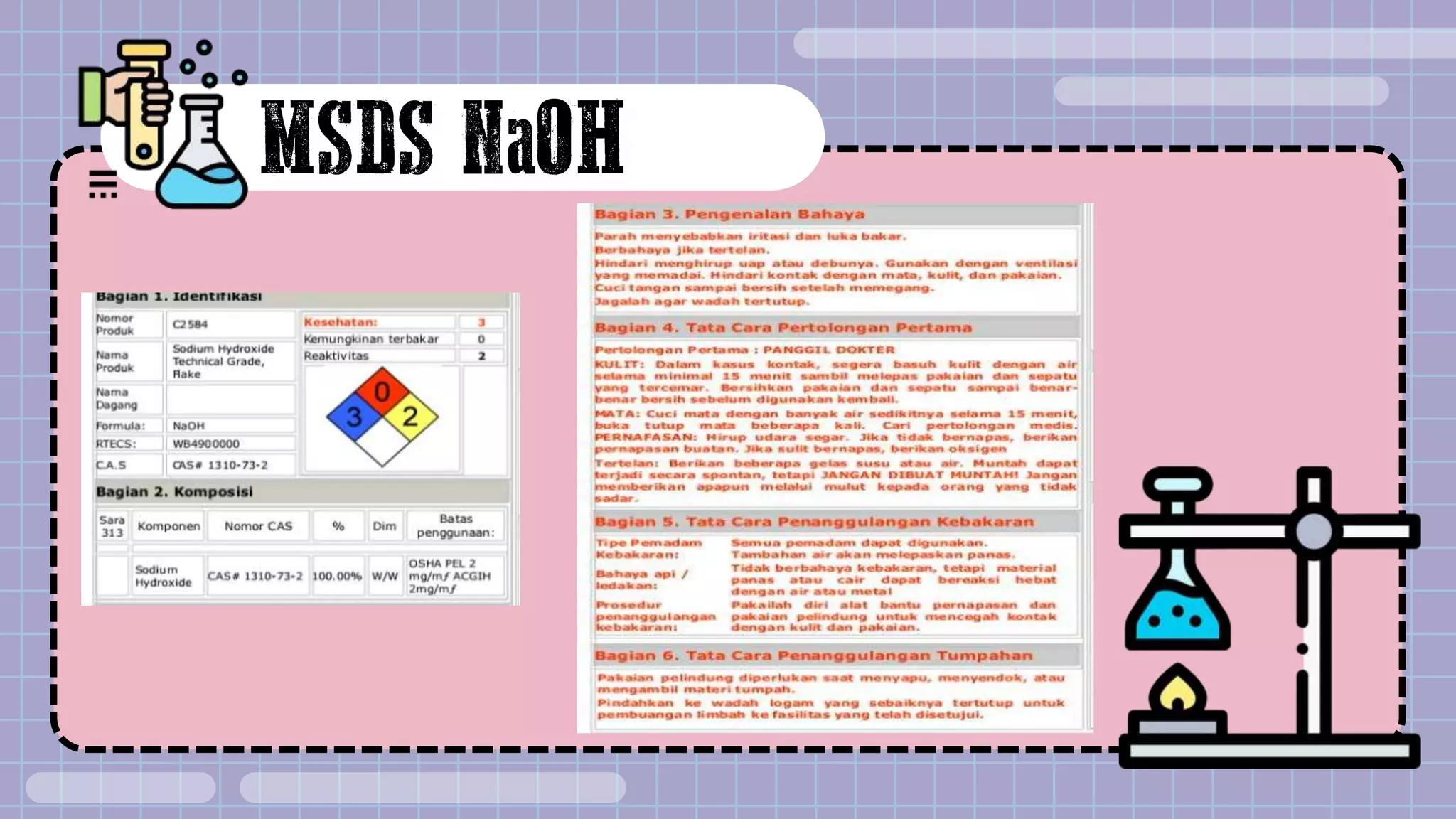 PPT MSDS.pptx