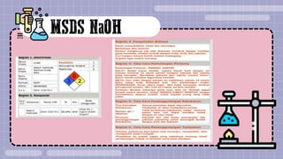 PPT MSDS.pptx