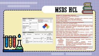 PPT MSDS.pptx