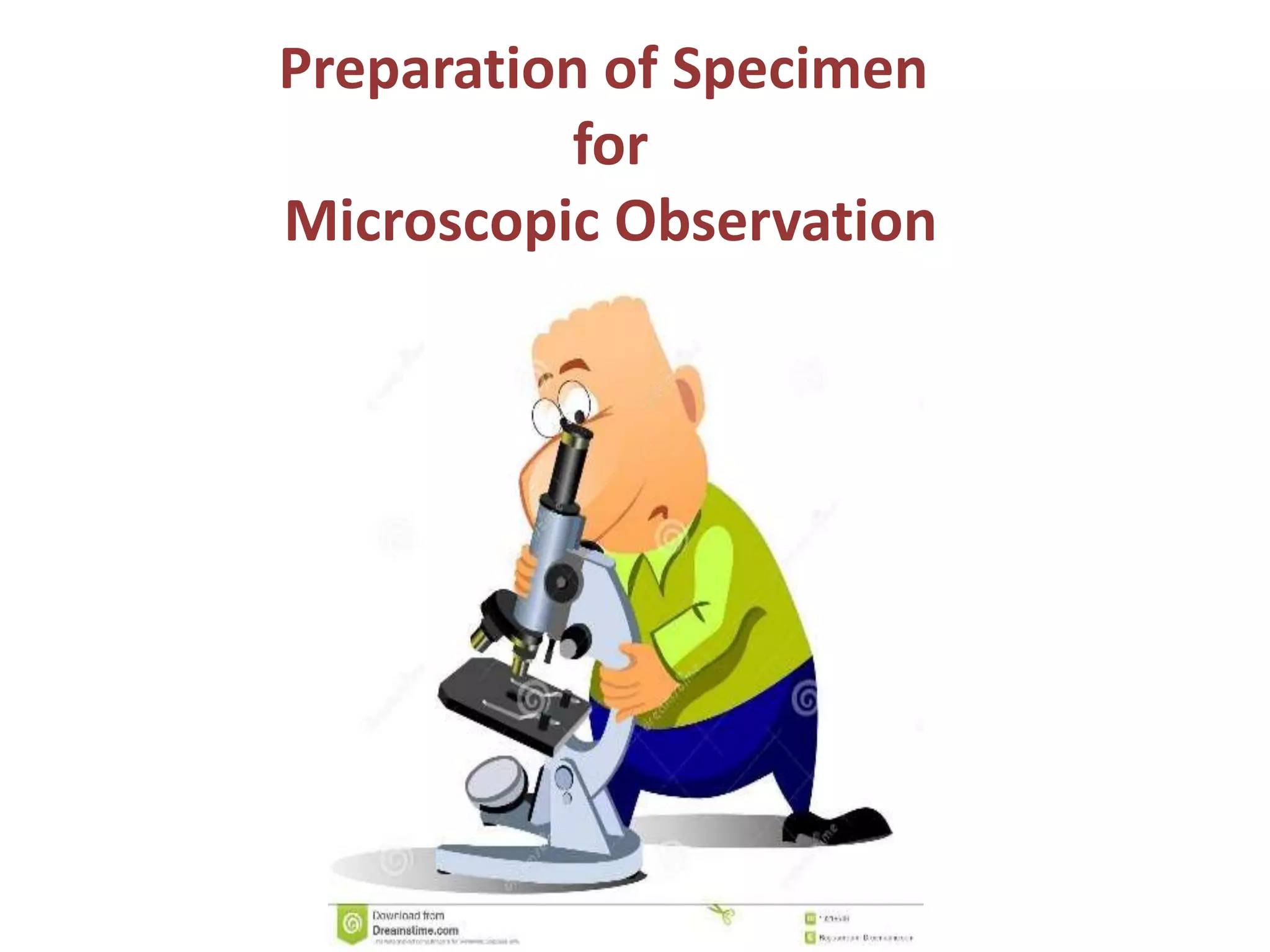 specimen preparation for microscopic observation | PPTX
