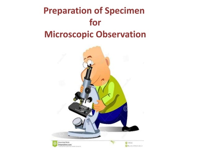 specimen preparation for microscopic observation | PPTX