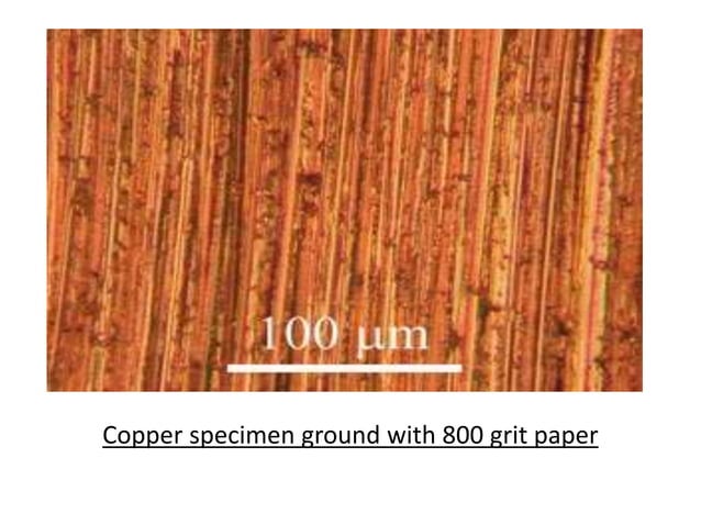 specimen preparation for microscopic observation | PPTX