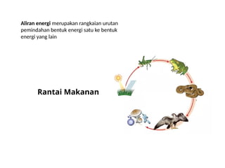 PPT MTC Aliran Energi dalam Ekosistem yang bisa digunakan dalam ...