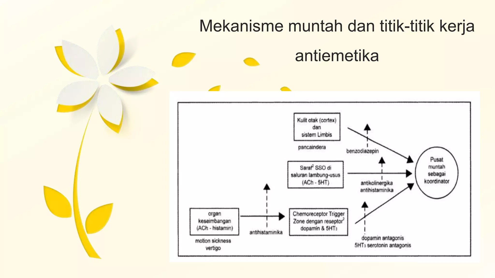 Ppt mual muntah | PPTX