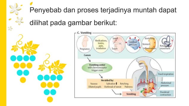 Ppt mual muntah | PPTX