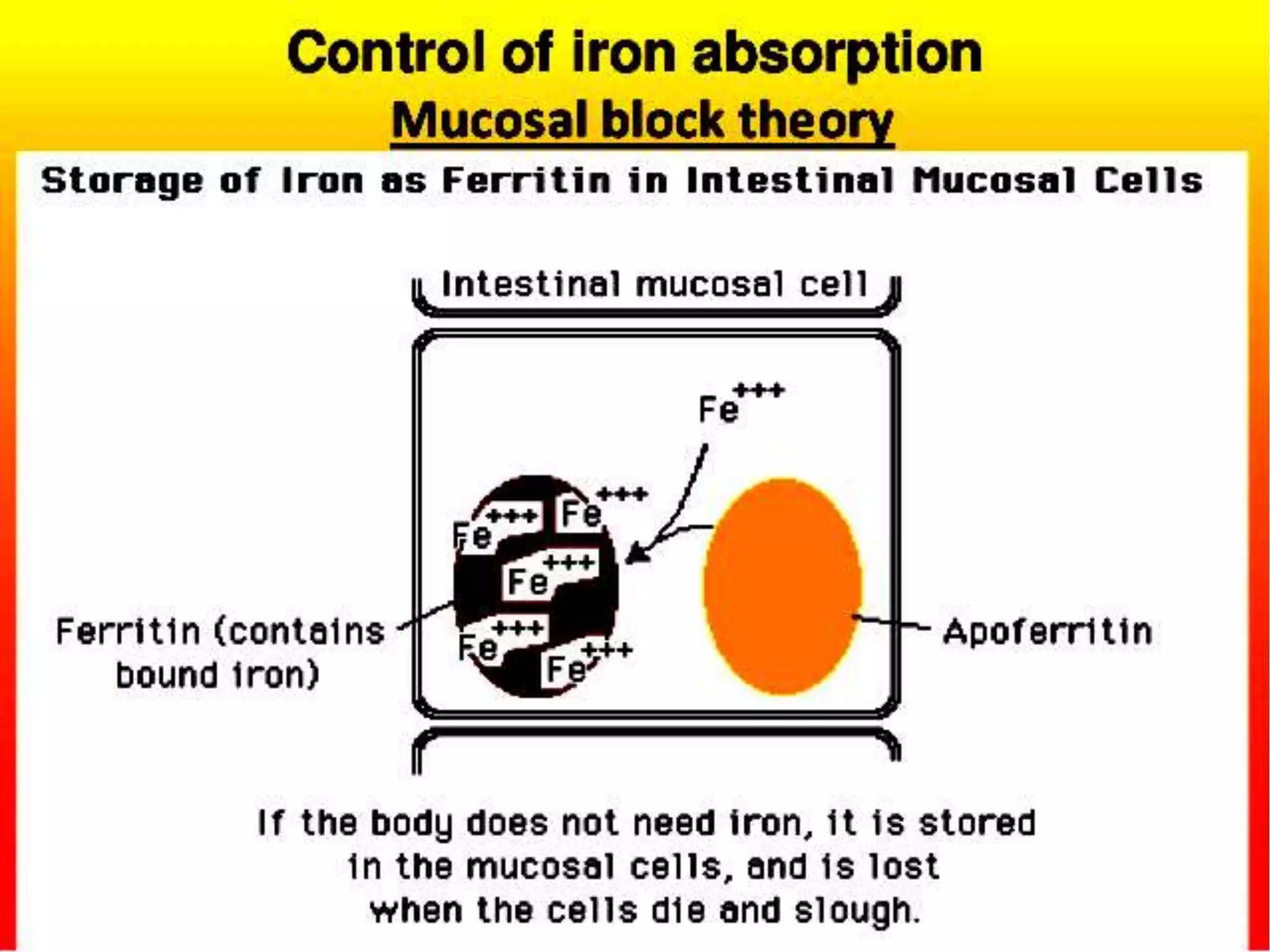 mucosal block theory | PPTX