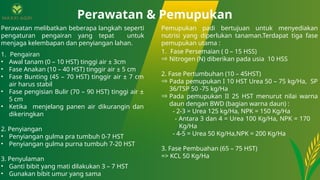 PPT PADI BUDIDAYA MUHAMMAD ALFARIZI SINAGA.pptx