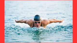 PPT Muhammad Fahrian Ilhami kupu kupu_20250315_175813_0000.pptx