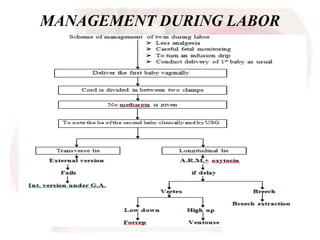 Ppt multiple pregnancy | PPTX