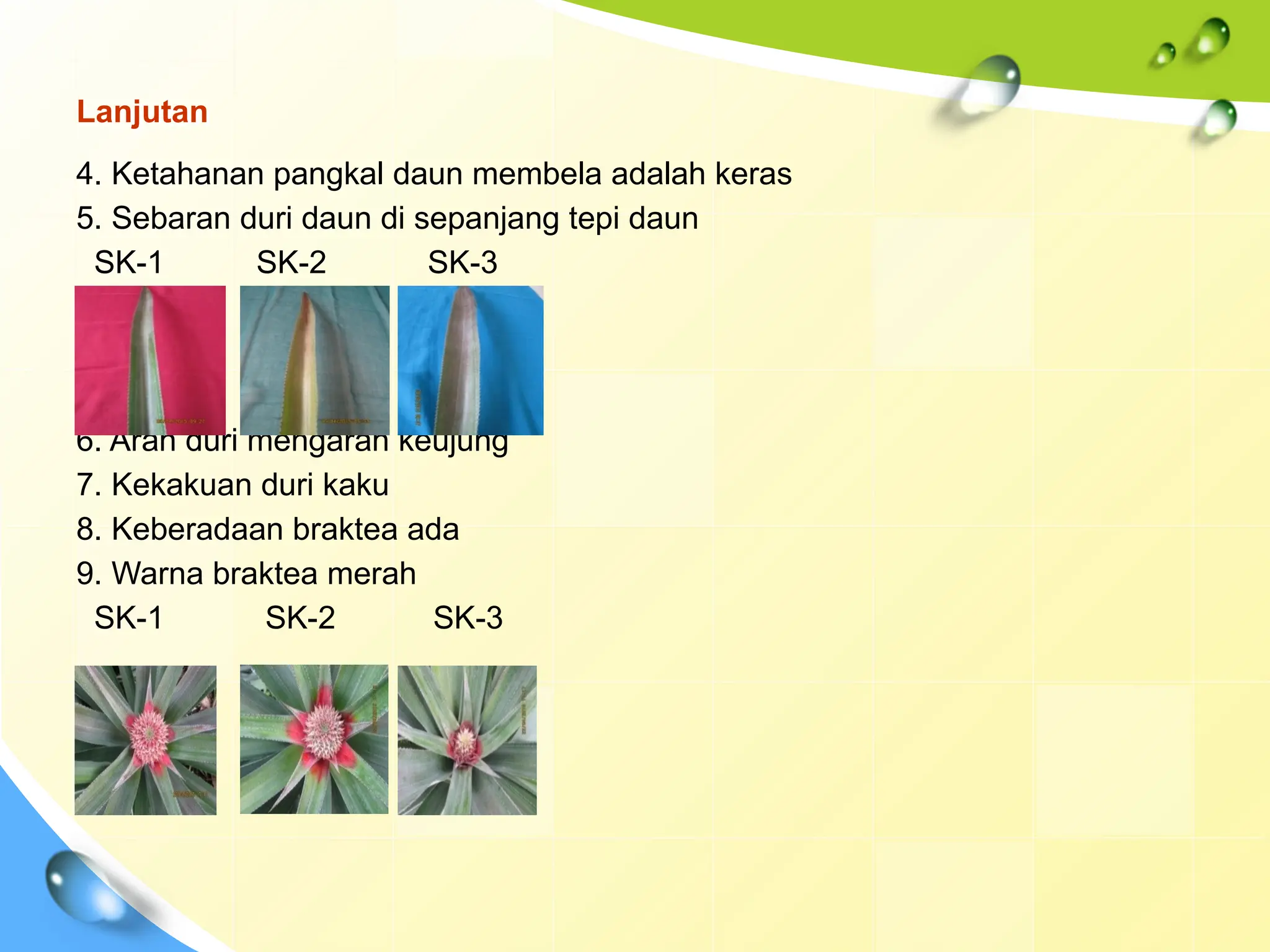 Slide Presentasi Powerpoint untuk MUNAQASAH.pptx