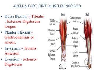 fundamental movement of joint - Kinesiology | PPTX