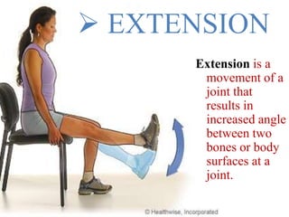 fundamental movement of joint - Kinesiology | PPTX