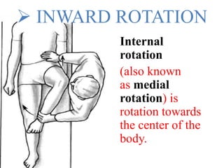 fundamental movement of joint - Kinesiology | PPTX