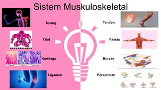 MUSKULOSKELETAL | PPTX