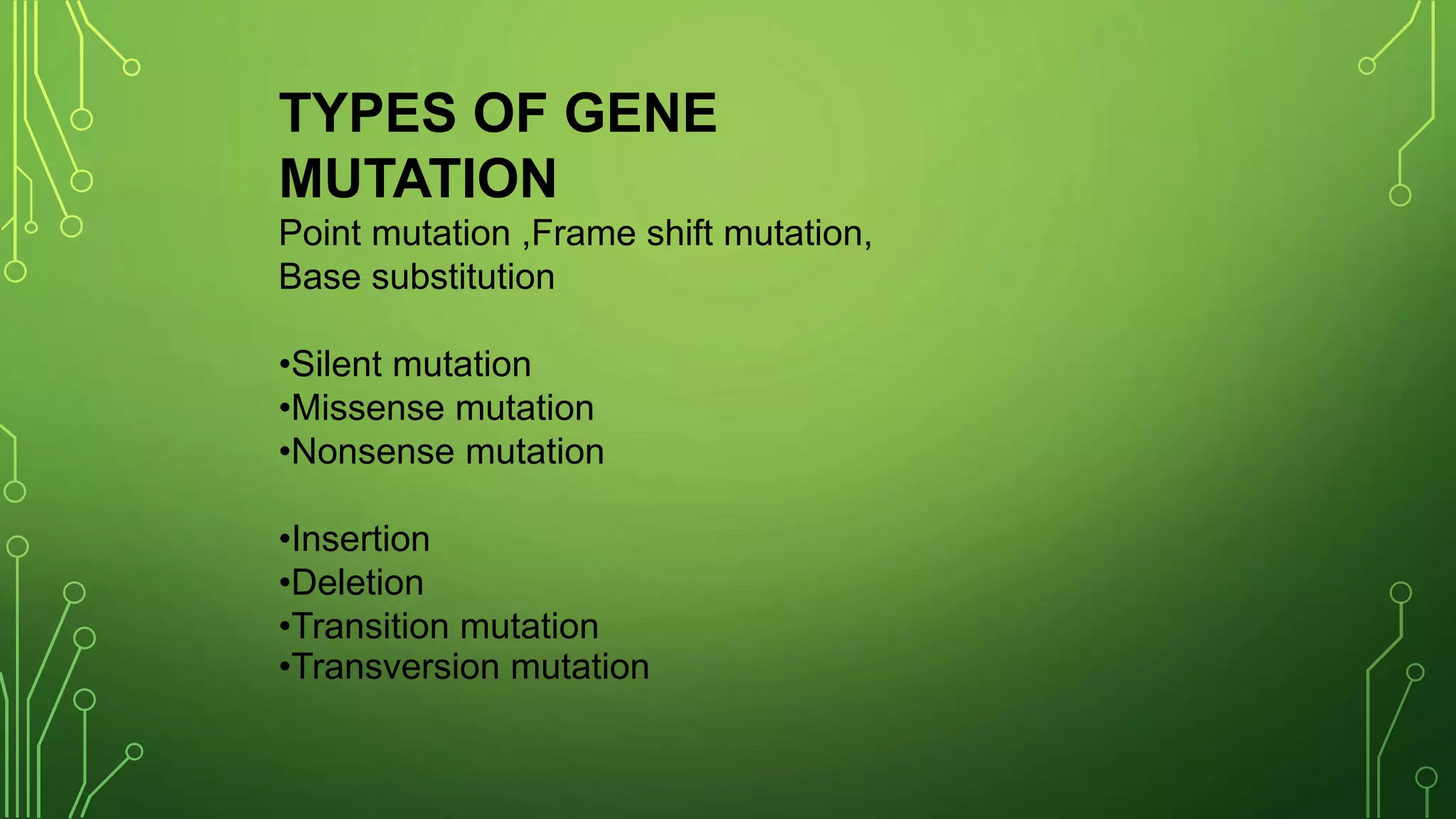 Gene Mutation | PPTX