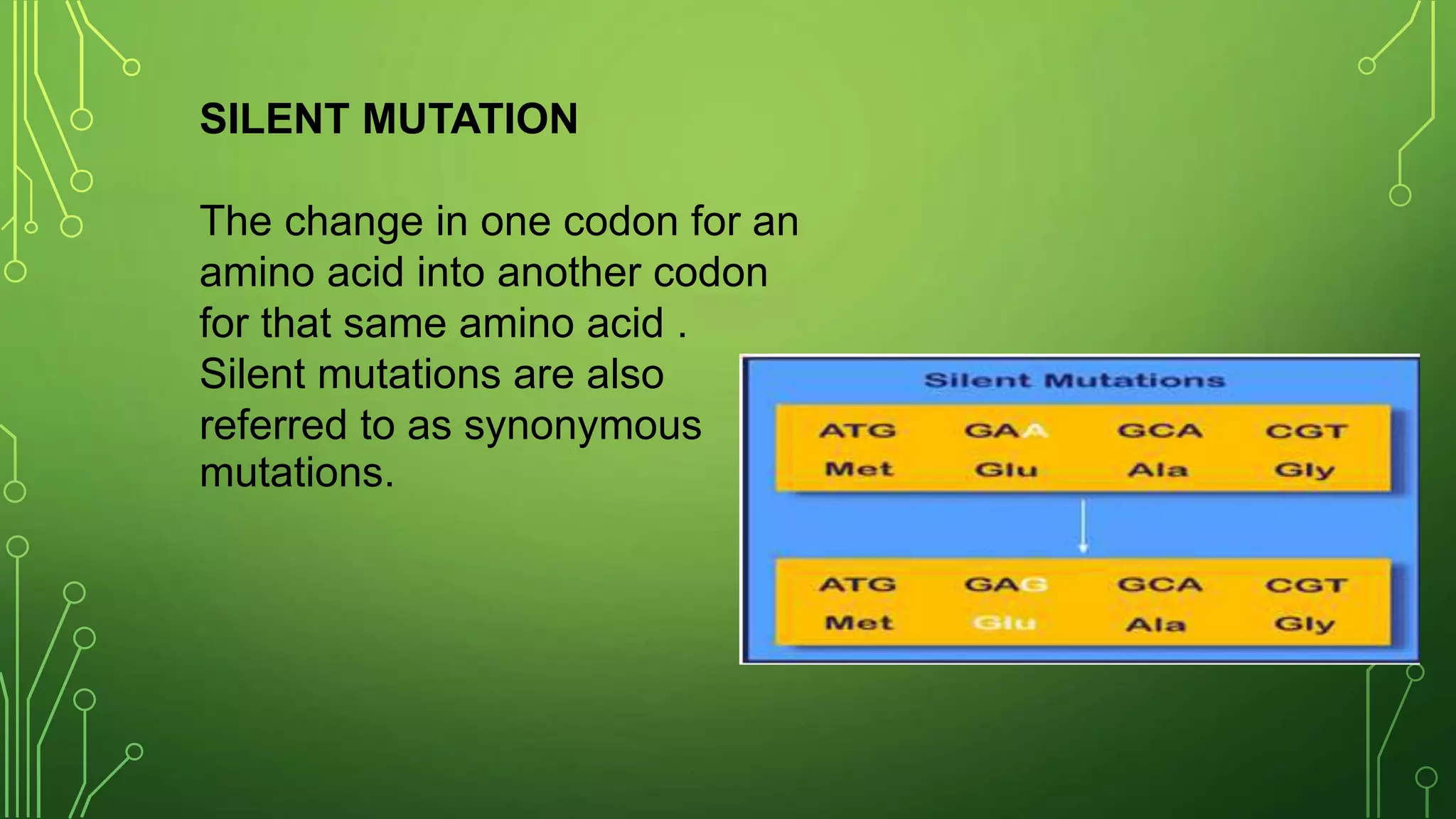 Gene Mutation | PPTX