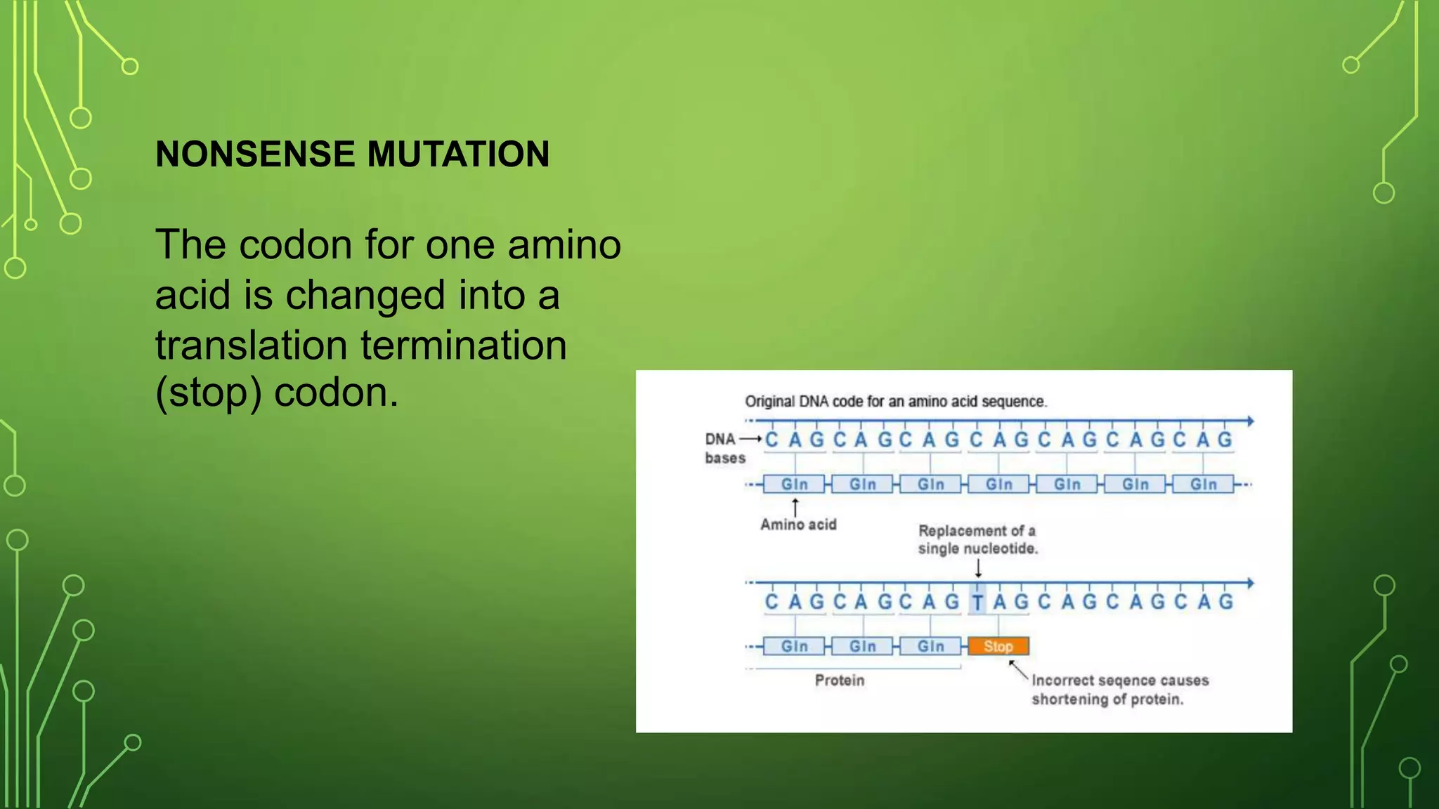 Gene Mutation | PPTX
