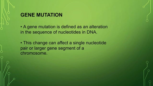 Gene Mutation | PPTX | Genetics | Science