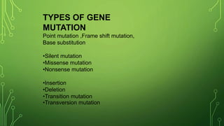 Gene Mutation | PPTX | Genetics | Science