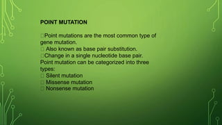 Gene Mutation | PPTX | Genetics | Science
