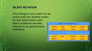 Gene Mutation | PPTX