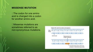 Gene Mutation | PPTX