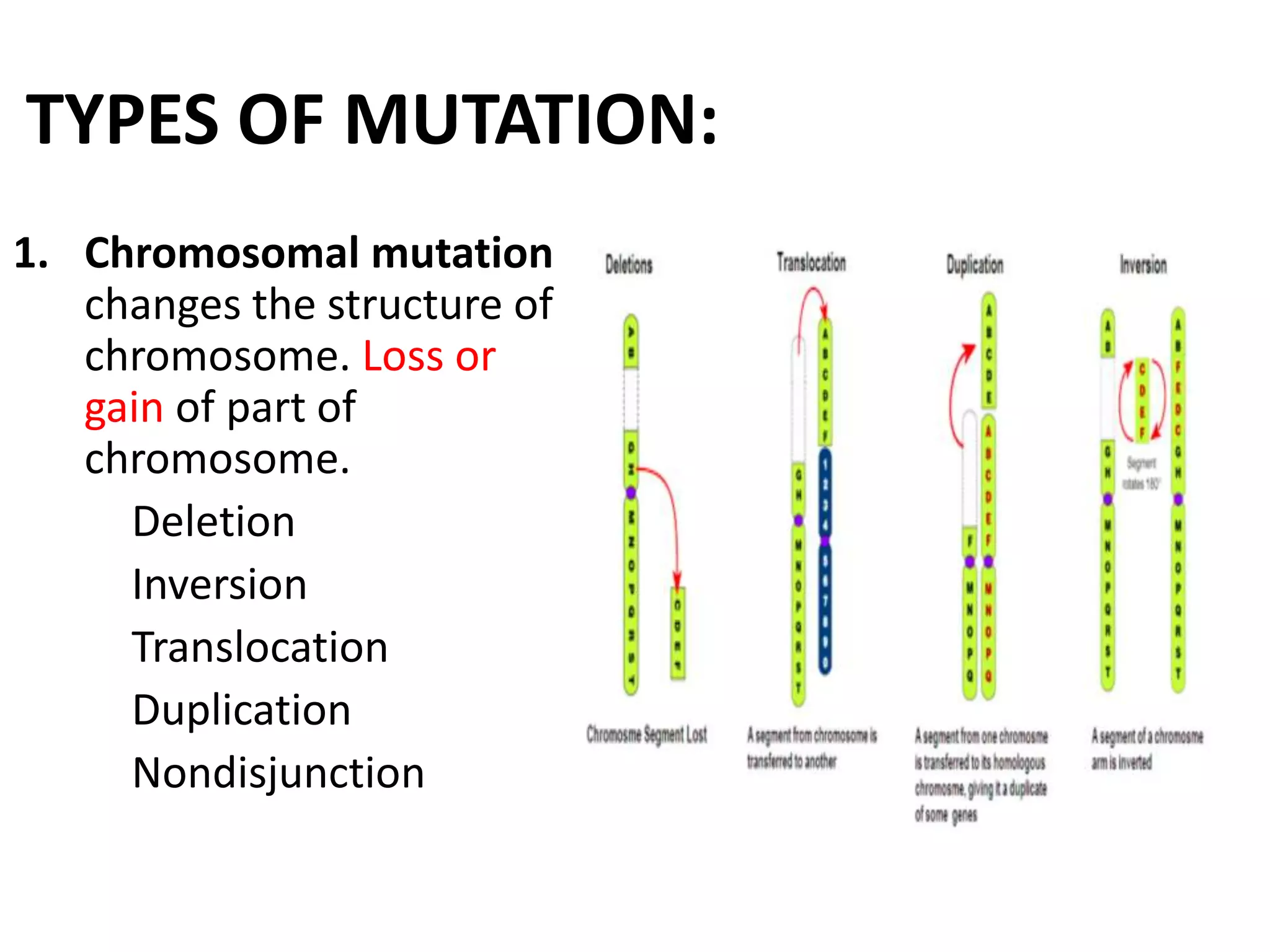Ppt mutagenicity and carcinogenicity | PPTX