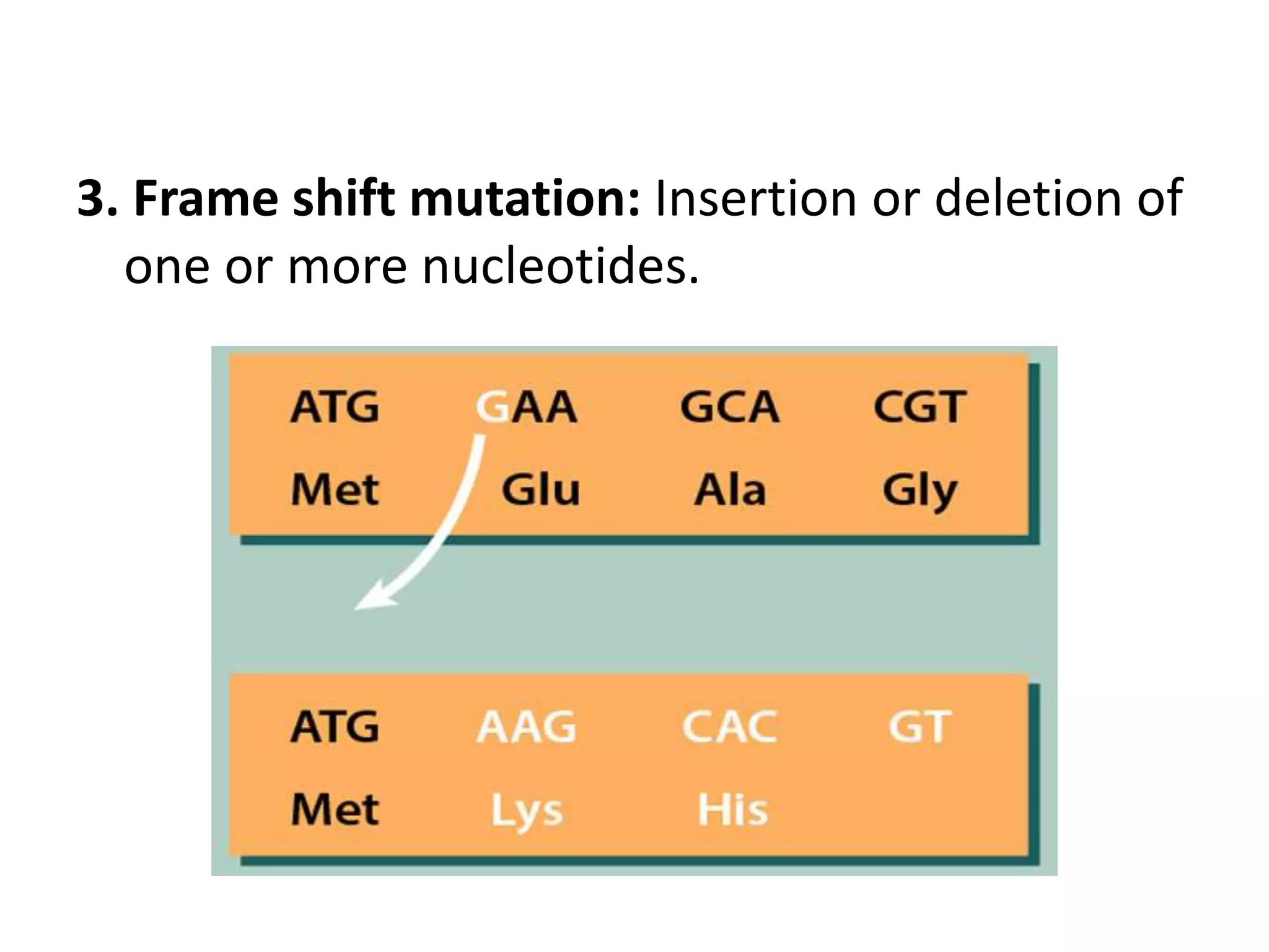 Ppt mutagenicity and carcinogenicity | PPTX