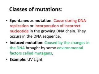 Ppt mutagenicity and carcinogenicity | PPTX | Genetics | Science
