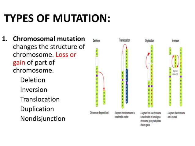 Ppt mutagenicity and carcinogenicity | PPTX | Genetics | Science