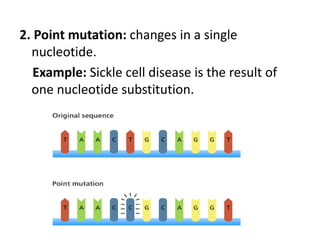 Ppt mutagenicity and carcinogenicity | PPTX | Genetics | Science