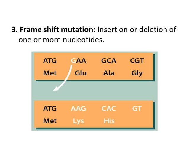 Ppt mutagenicity and carcinogenicity | PPTX | Genetics | Science