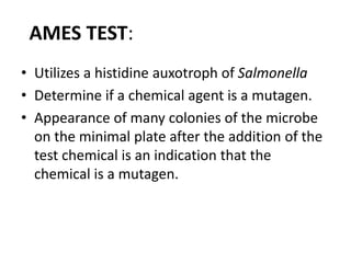 Ppt mutagenicity and carcinogenicity | PPTX