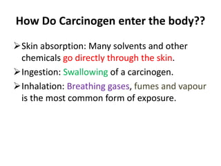 Ppt mutagenicity and carcinogenicity | PPTX