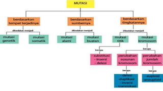 PPT MUTASI.pptx
