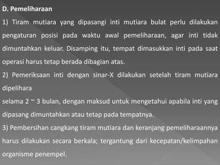 Ppt mutiara | PPTX