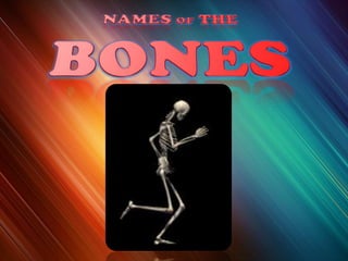 NAME OF THE BONES (Science 1º Primaria) | PPTX