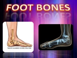 NAME OF THE BONES (Science 1º Primaria) | PPTX