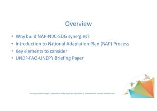 Towards an integrated approach to NAPs, NDCs and SDGs | PPT
