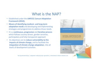 Towards an integrated approach to NAPs, NDCs and SDGs | PPT