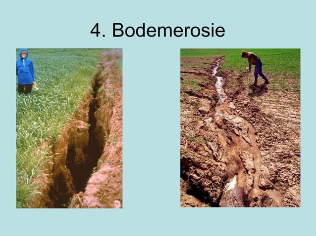 PPT natuurrampen | PPT
