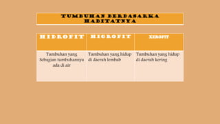 ppt nazirah1.pptx