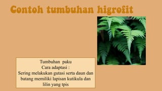 ppt nazirah1.pptx