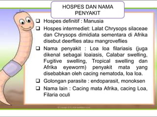 Ppt nematoda. | PPTX