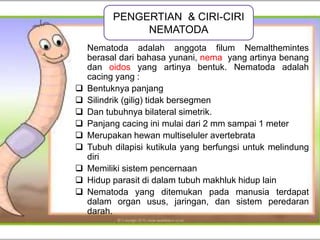 Ppt nematoda. | PPTX