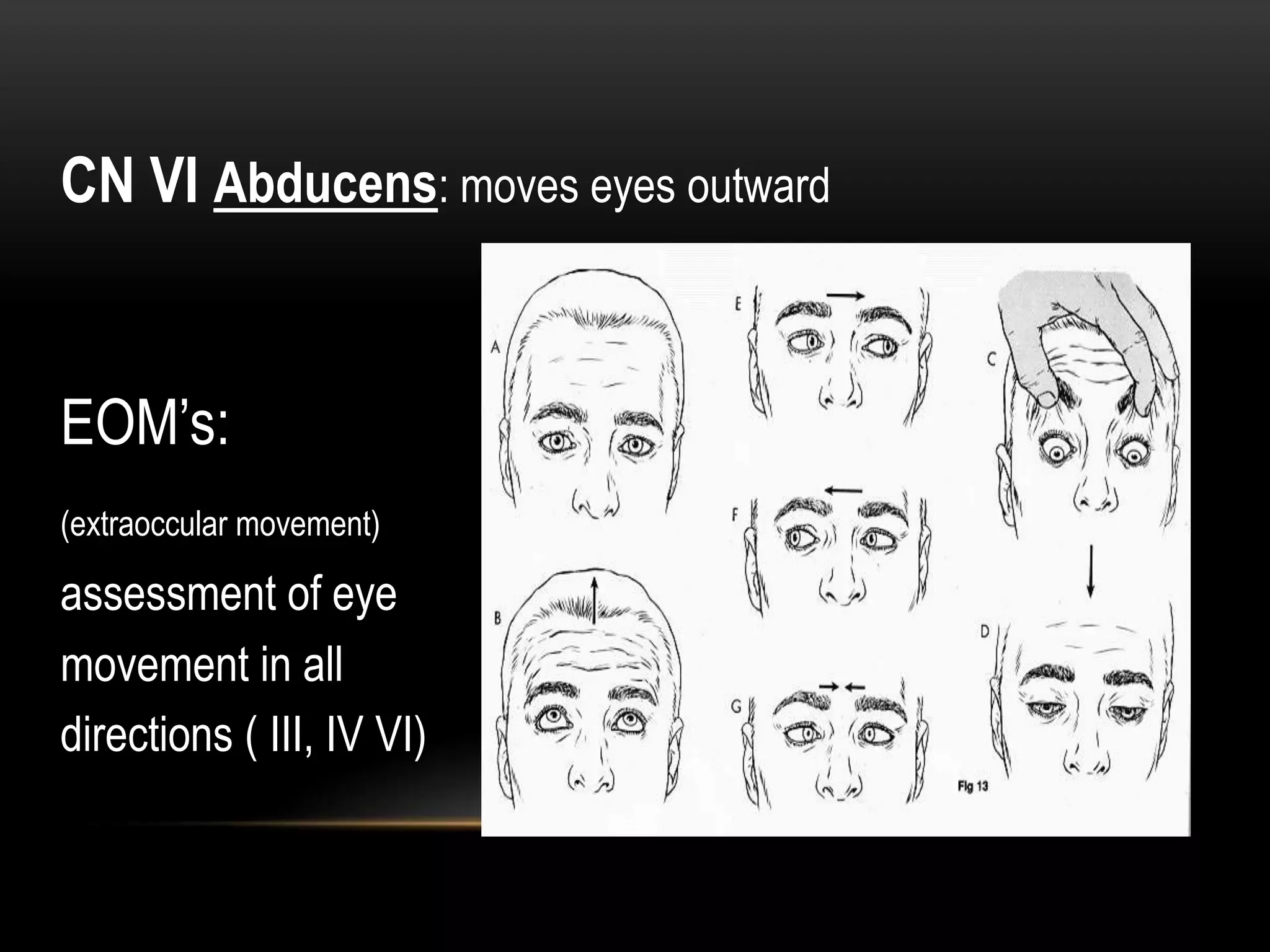 neurological examination ppt | PPTX