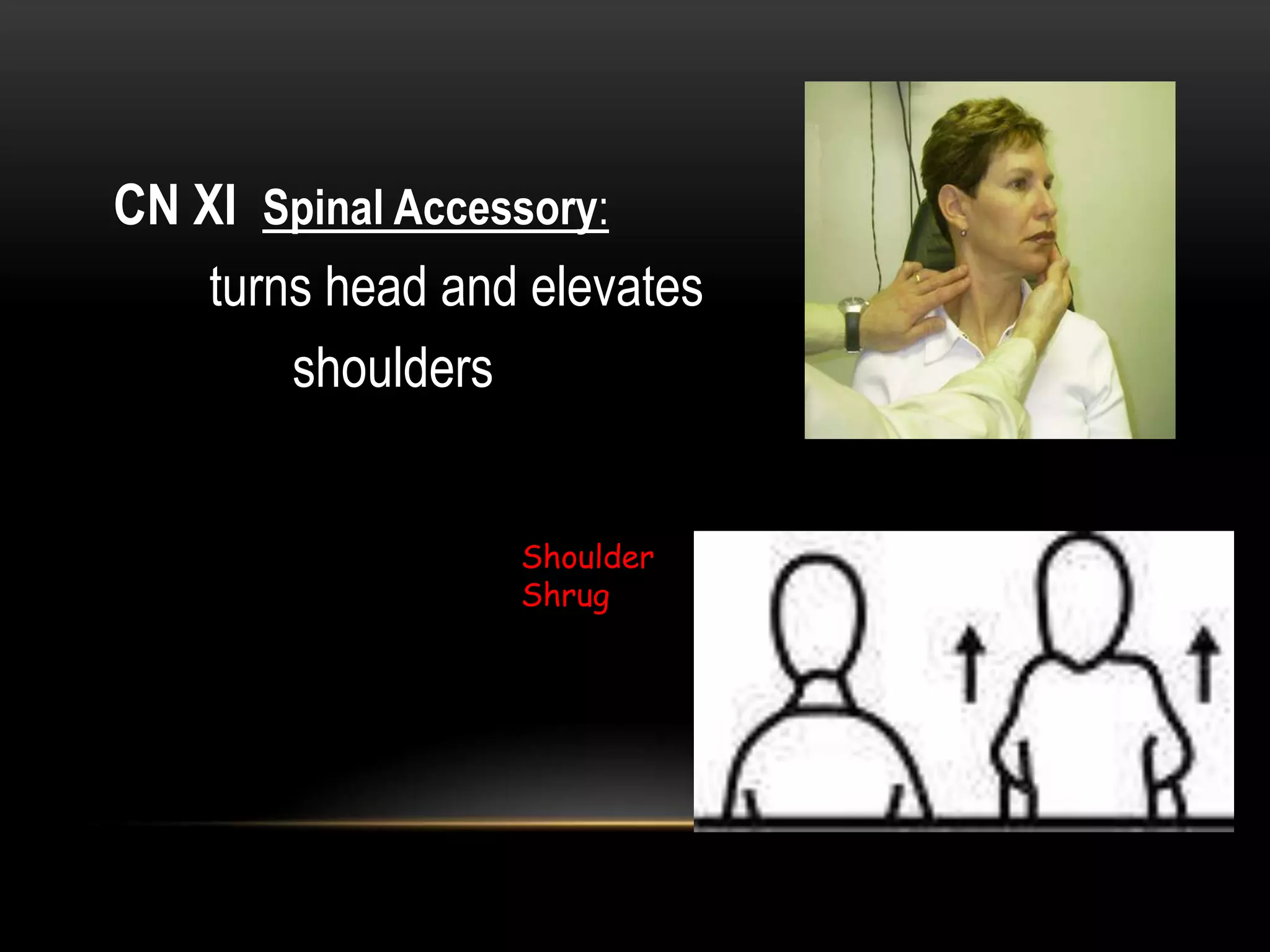 neurological examination ppt | PPTX